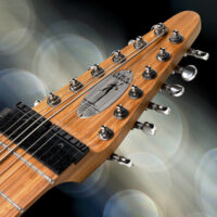Home of the Chapman Stick© | Stick Enterprises